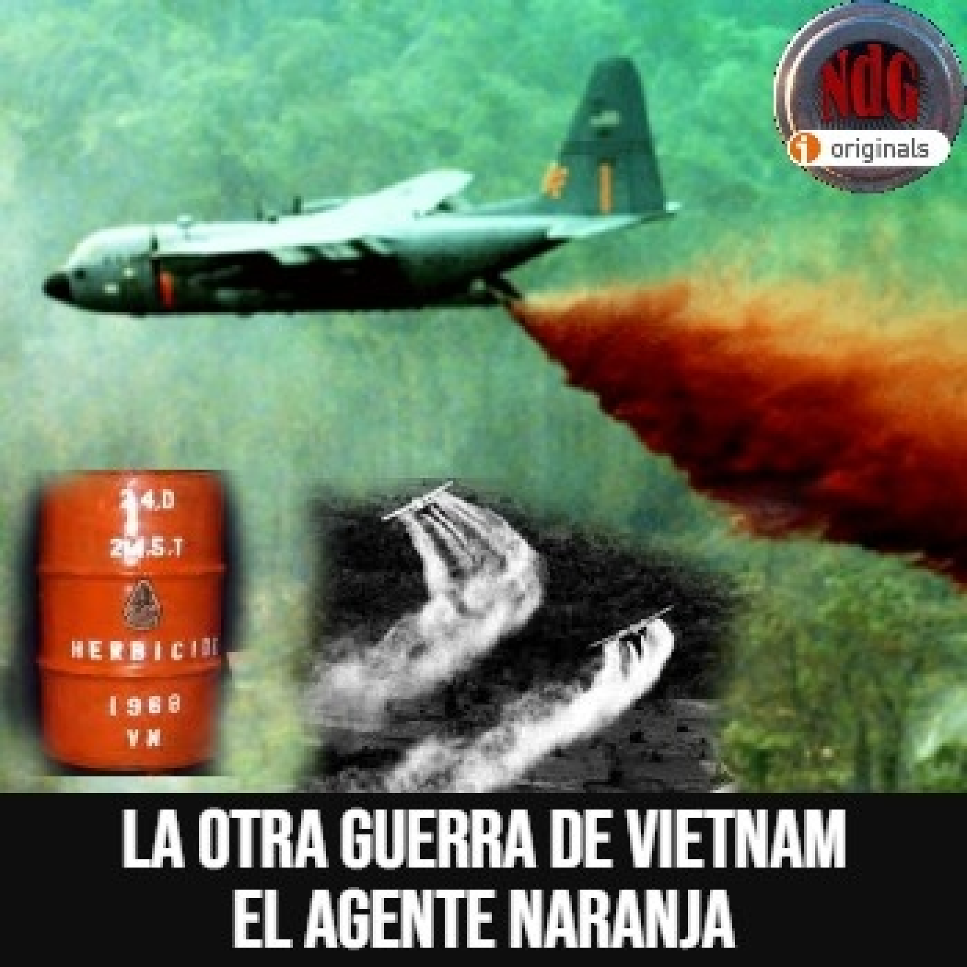 NdG #513 El Agente Naranja, la otra guerra de Vietnam o el veneno que ...