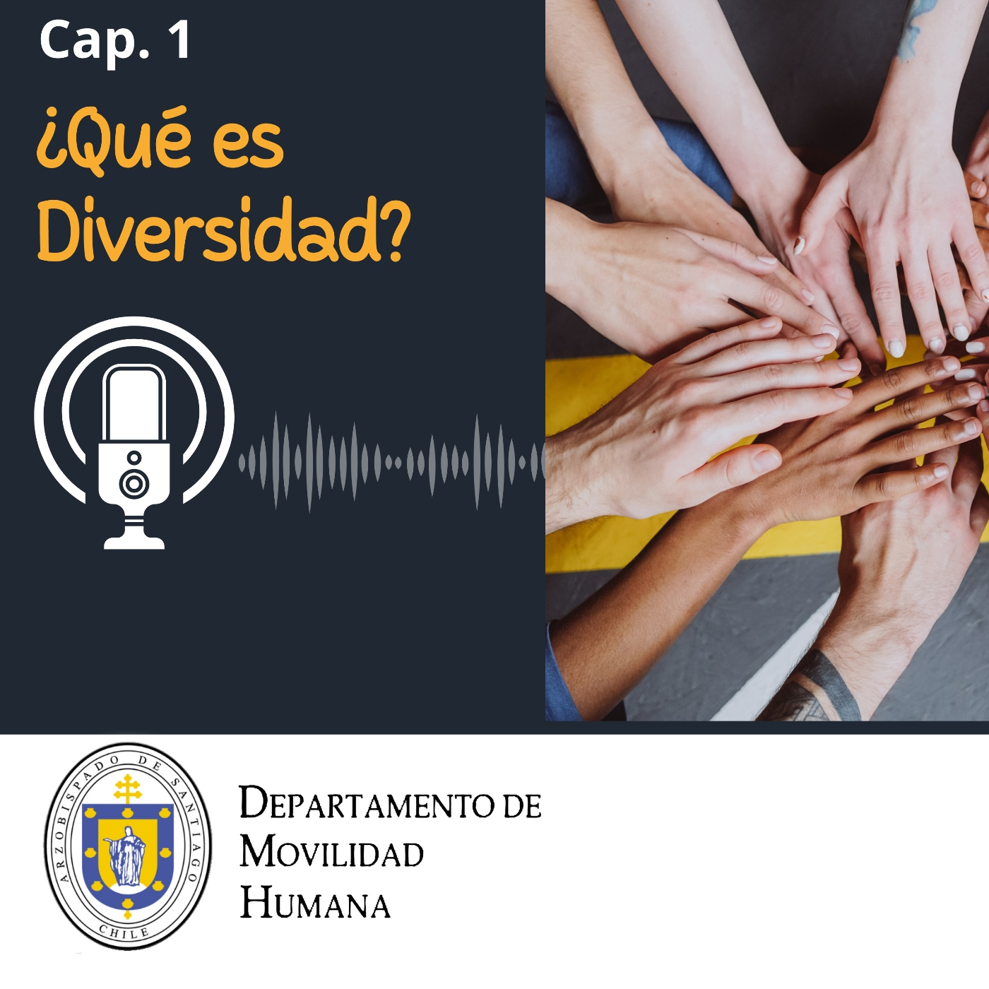 ¿Qué es Diversidad? - Valorando la Diversidad - Podcast en iVoox