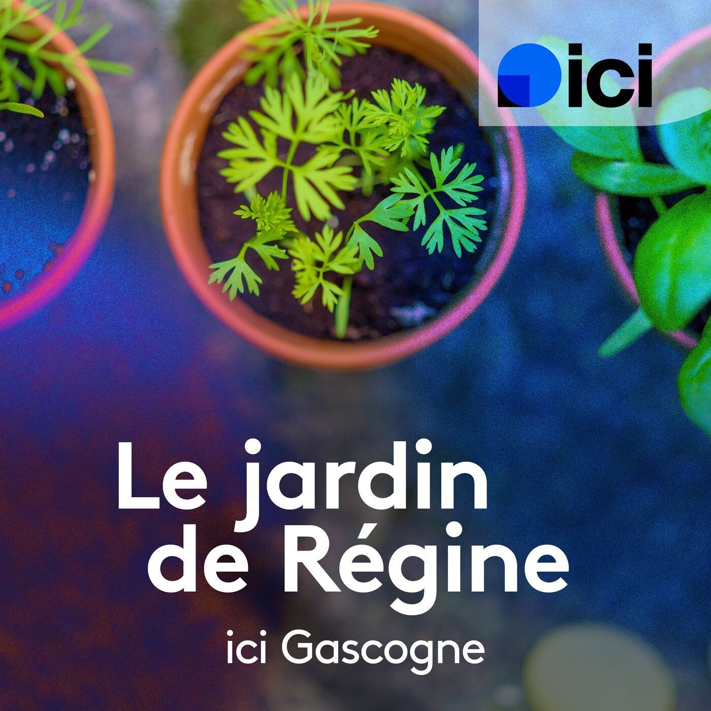 Les différents fumiers d'automne pour amender le sol - Le jardin de ...