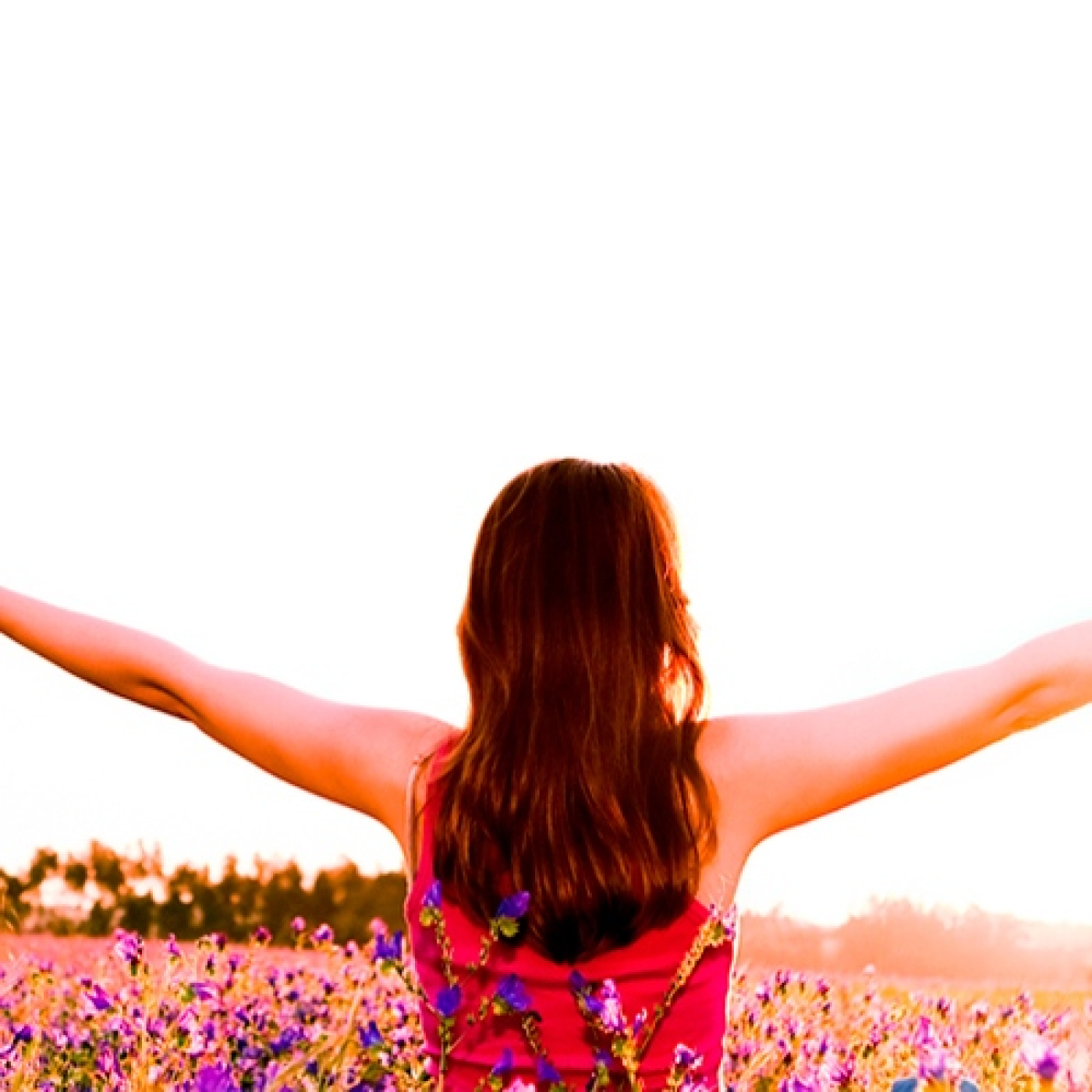 311-UdV- Budismo: Ideas clave para el siglo XXI (II): La puerta de la felicidad. - Universidad ...