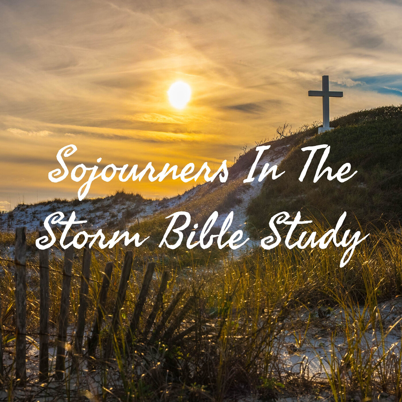Sojourners In The Storm Bible Study - Podcast en iVoox