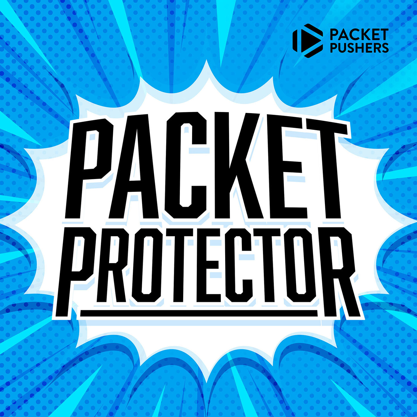 PP010: CISA’s Cyber Incident Reporting Law: What You Need to Know ...