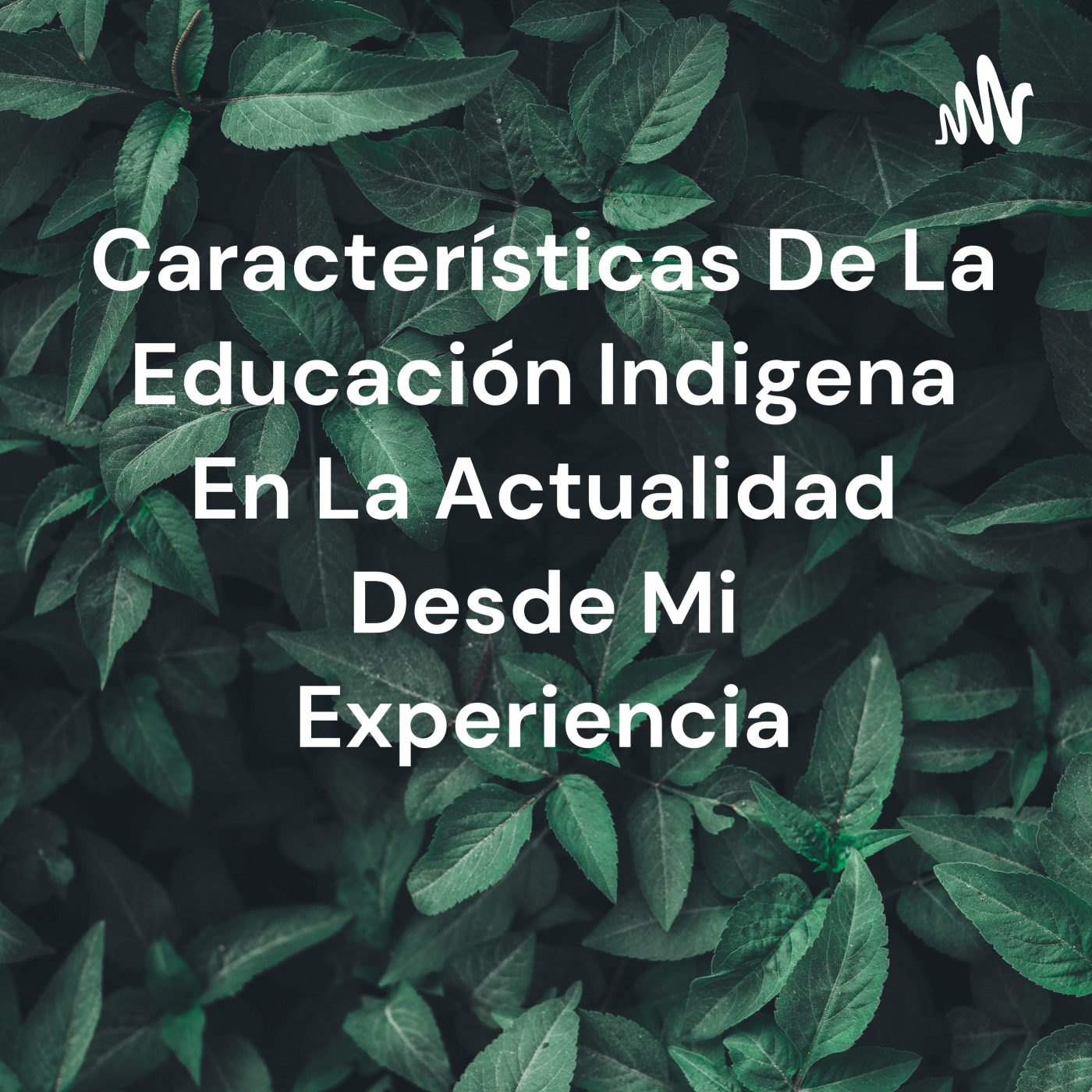 Características De La Educación Indigena En La Actualidad Desde Mi ...
