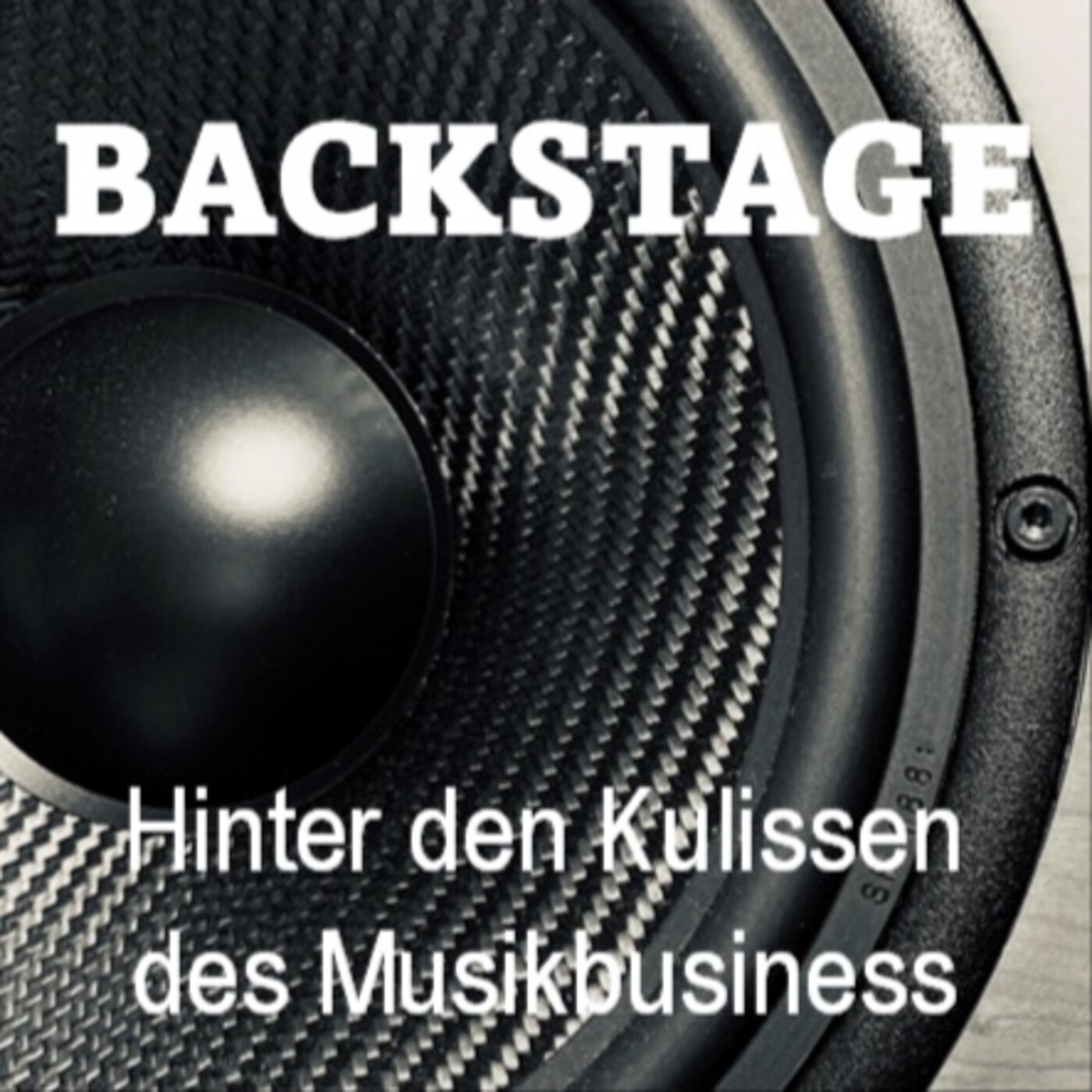 Backstage - mit Nosie Katzmann (Songwriter von Welthits wie Mr. Vain ...
