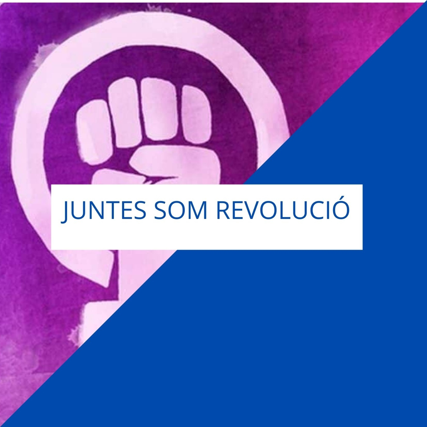 JUNTES SOM REVOLUCIÓ - Podcast en iVoox
