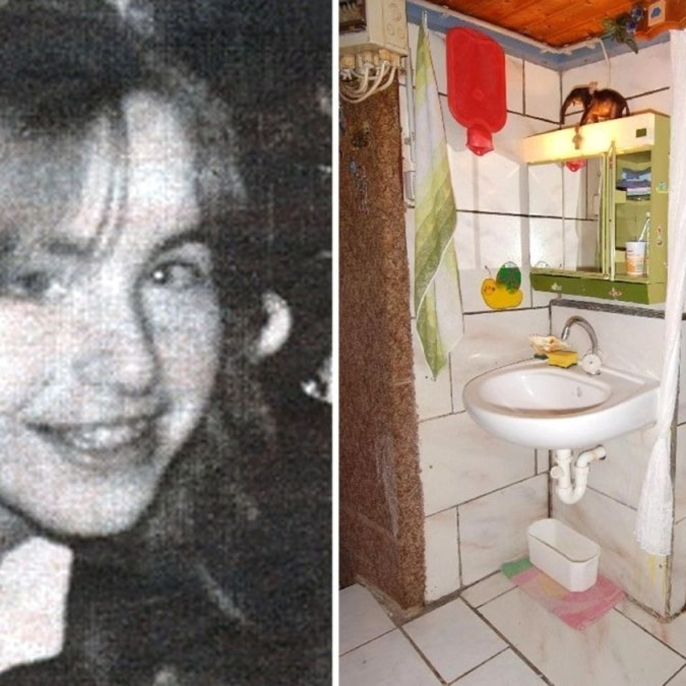 el caso de Elisabeth Fritzl - El caso de Elizabeth Fritzl - Podcast en ...