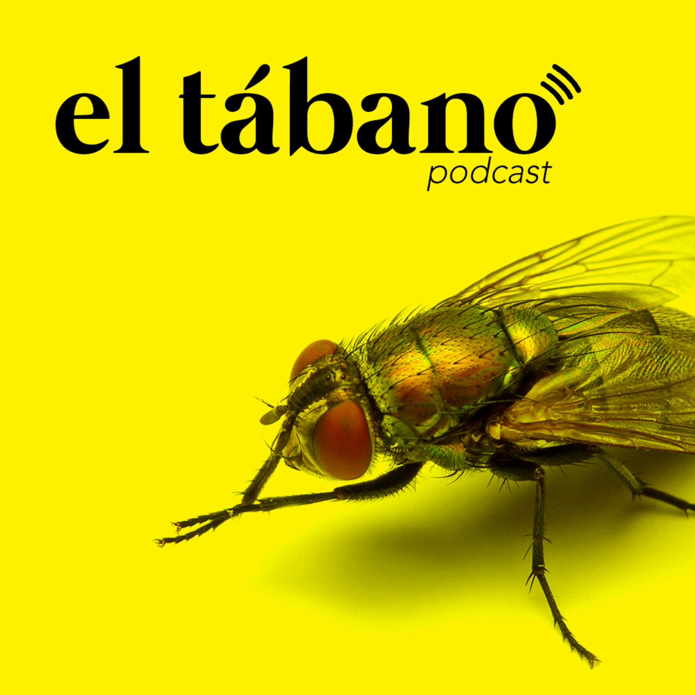 El tábano - Podcast en iVoox