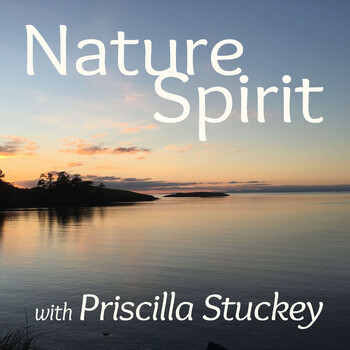 Finding Sweetness in Bitterness - Nature :: Spirit — Spirituality in a ...