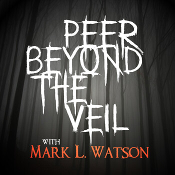 The South Shields Poltergeist - Darren W. Ritson - Peer Beyond The Veil ...