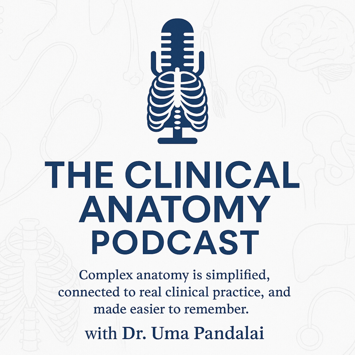 Clinical Anatomy Lab Series Episode 1 - Skull - The Clinical Anatomy ...