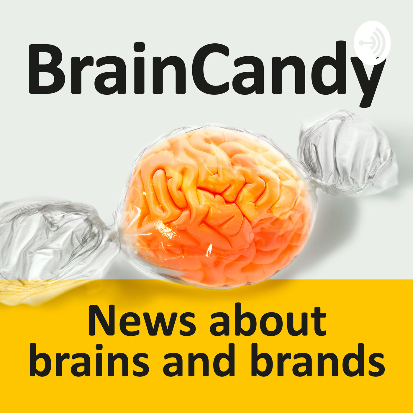 BrainCandy No. 106 How we are losing our children to the virtual world and jeopardising their ...