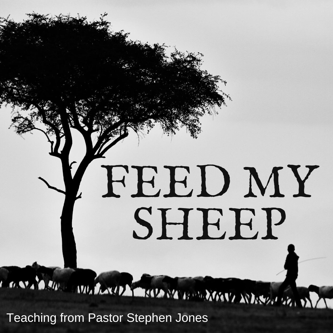 Feed My Sheep - Podcast en iVoox