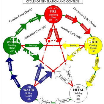 Zang Fu Chapter 13 Review of the Five Zang - Learn Traditional Chinese ...
