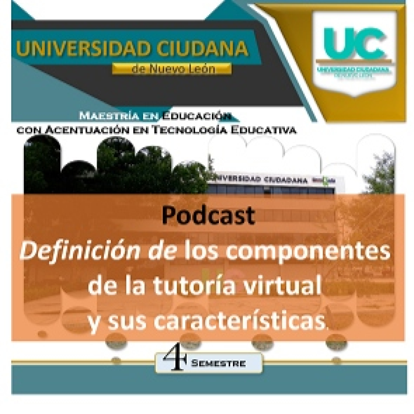 Definición de los componentes de la tutoría virtual y sus ...