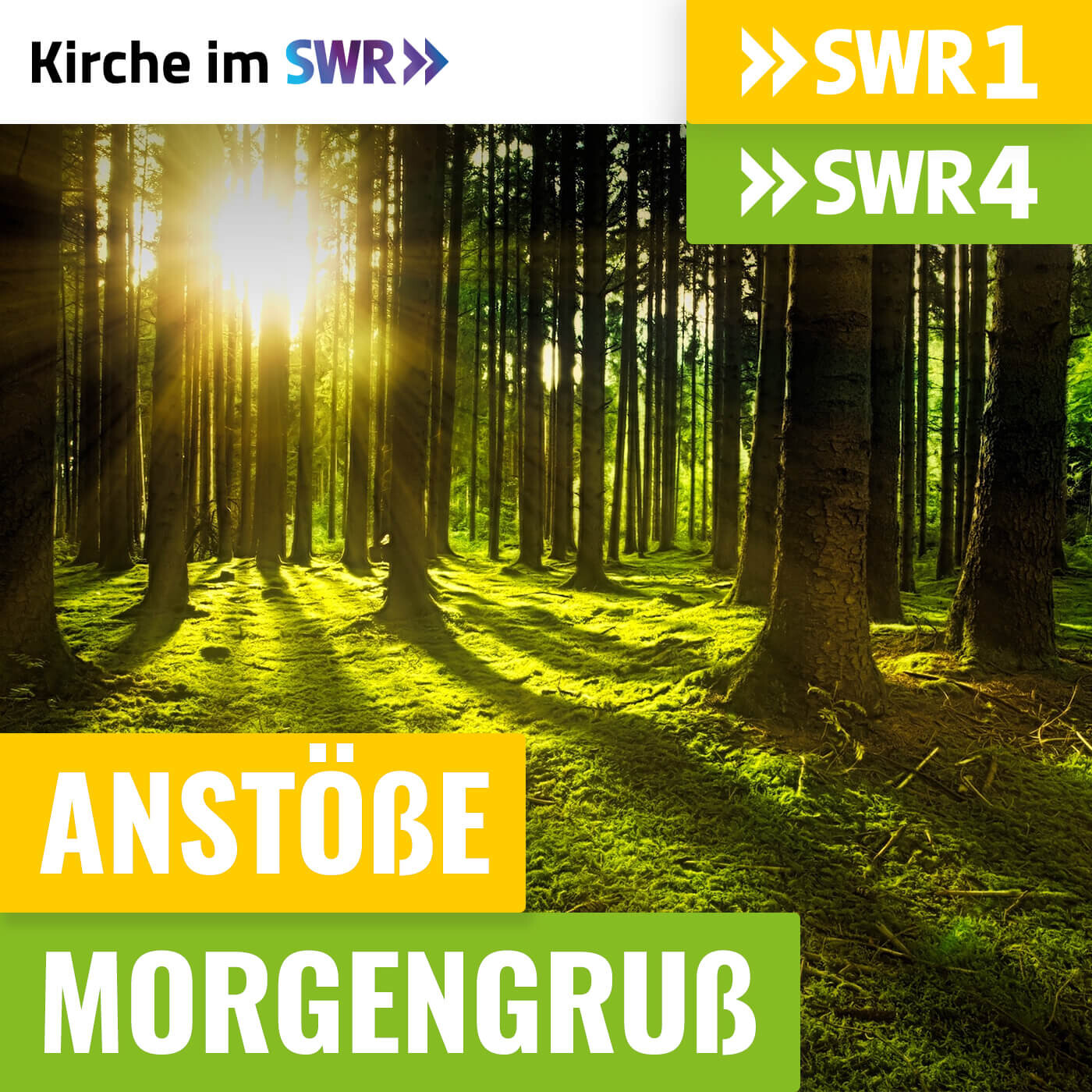 SWR1 RP Anstöße (Verkündigungssendung) - Podcast on iVoox