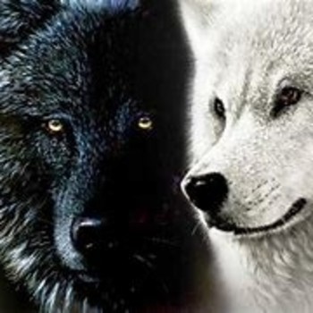 Historias de miedo - Alexis Armenta - Podcast en iVoox