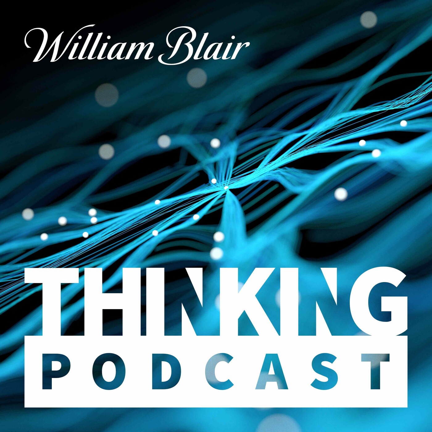 Demographics as Commerce: The Aging-in-Place Revolution - The William ...