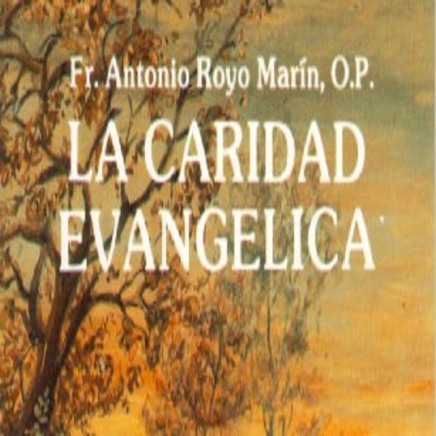 4.- Motivos para amar a Dios: dones naturales - El amor a Dios: la ...