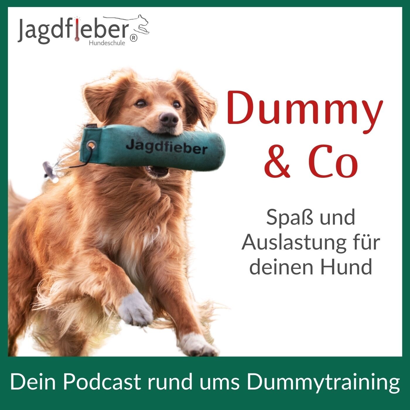 Dummy & Co - Podcast en iVoox
