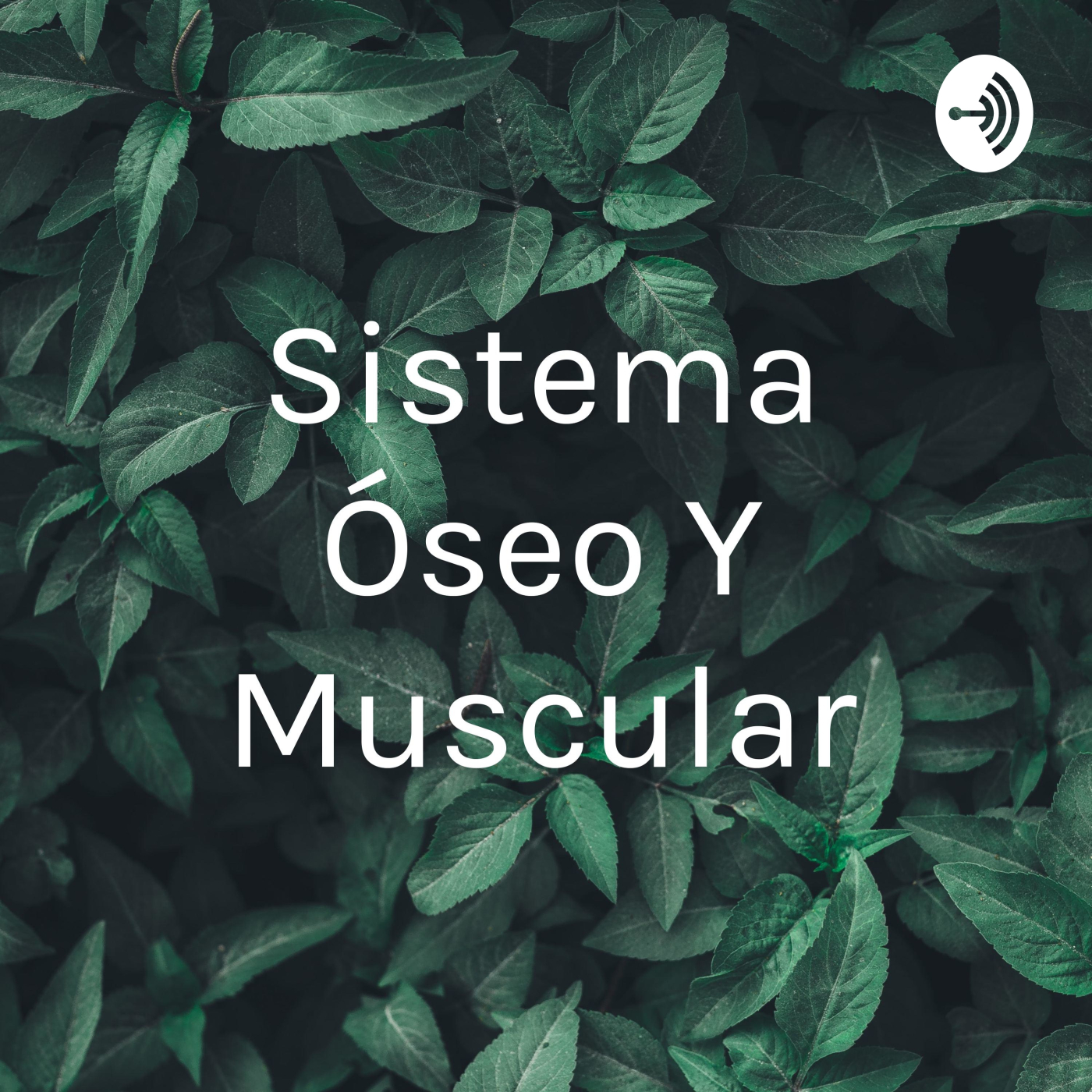 Sistema Óseo Y Muscular - Podcast en iVoox