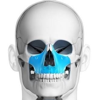 Formación del Macizo Facial - Podcast en iVoox